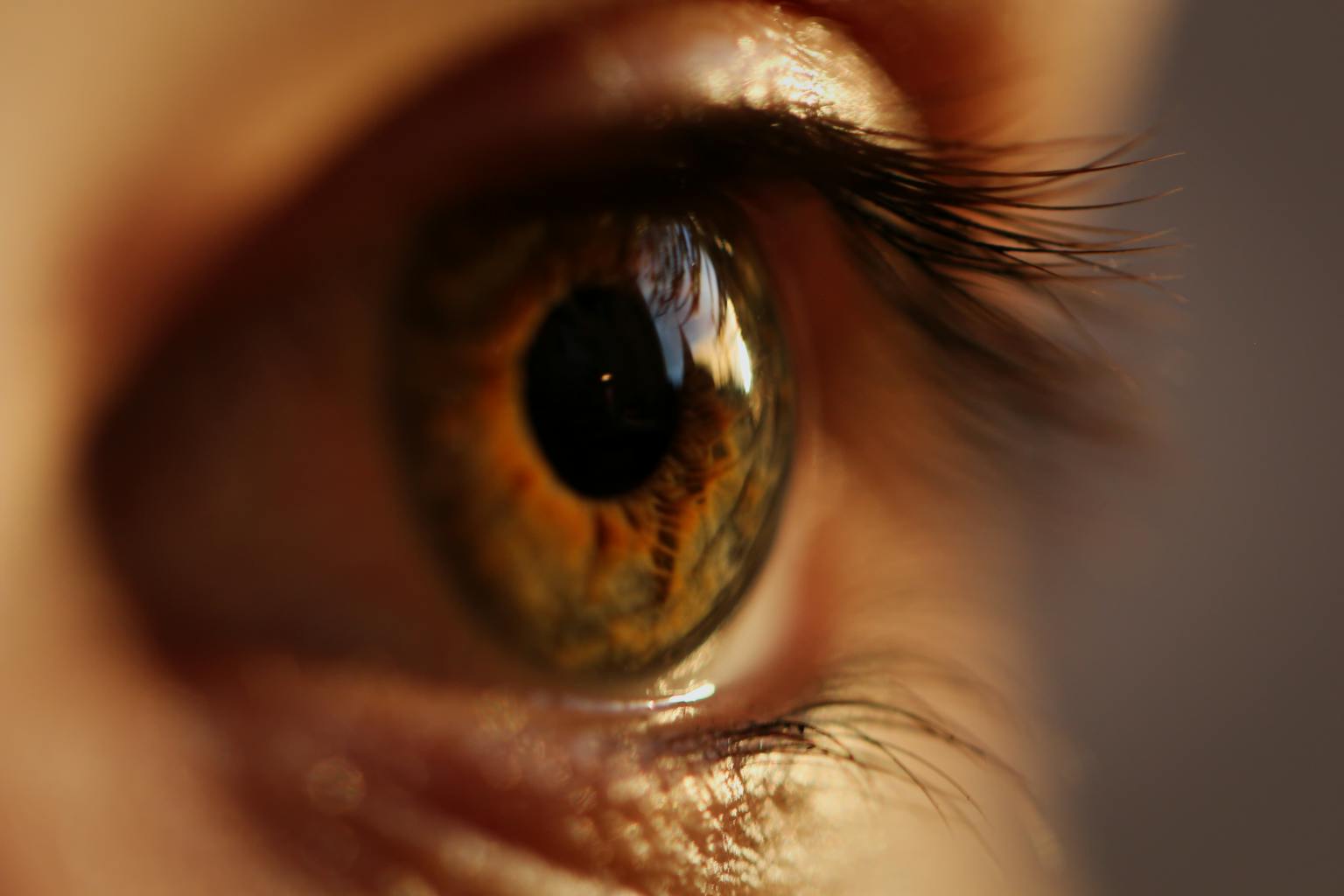 Using an Amsler Chart to Self-Monitor Vision - Erie Retina Research